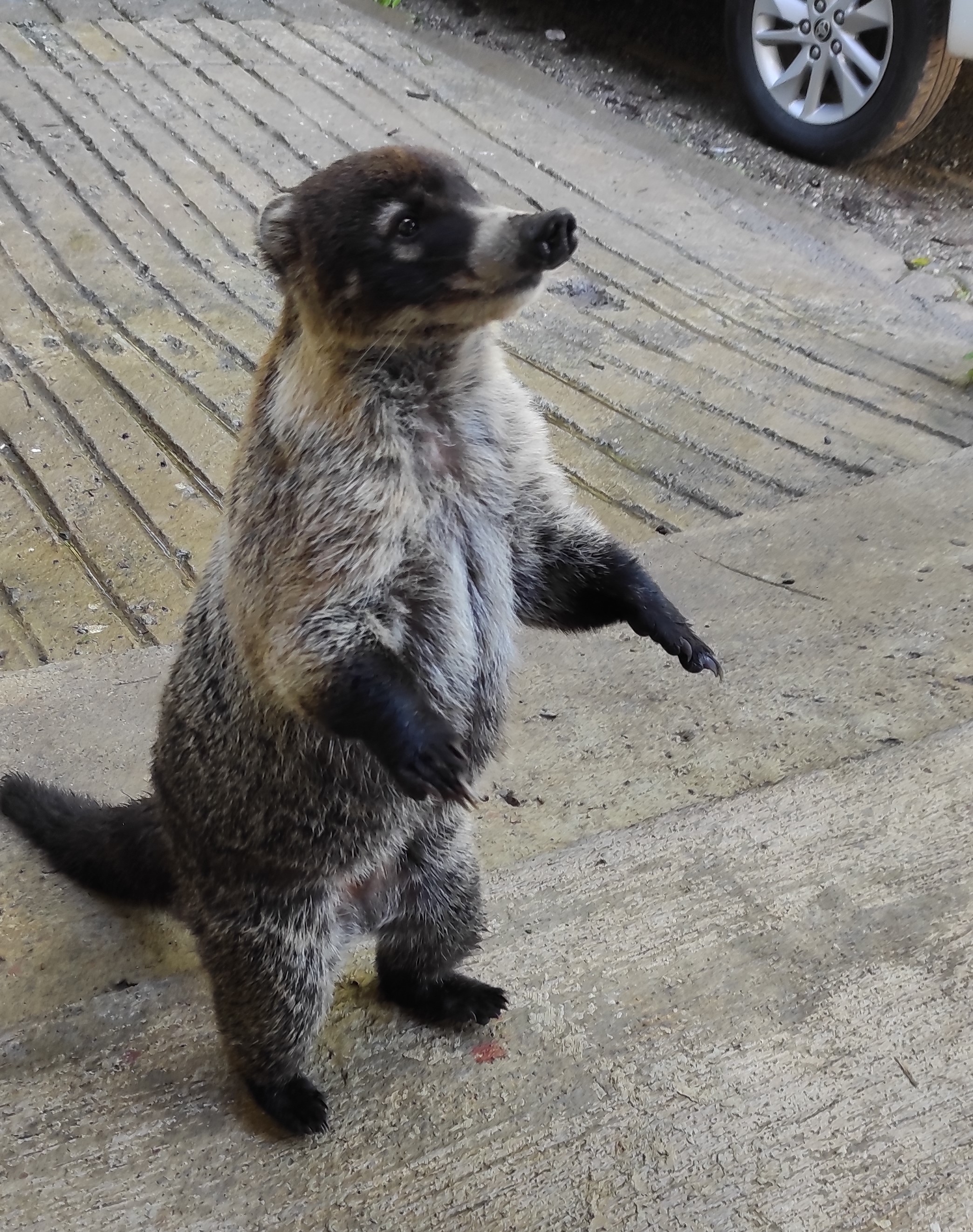 Blog de voyage au El Salvador – Récits, conseils et aventures en ...