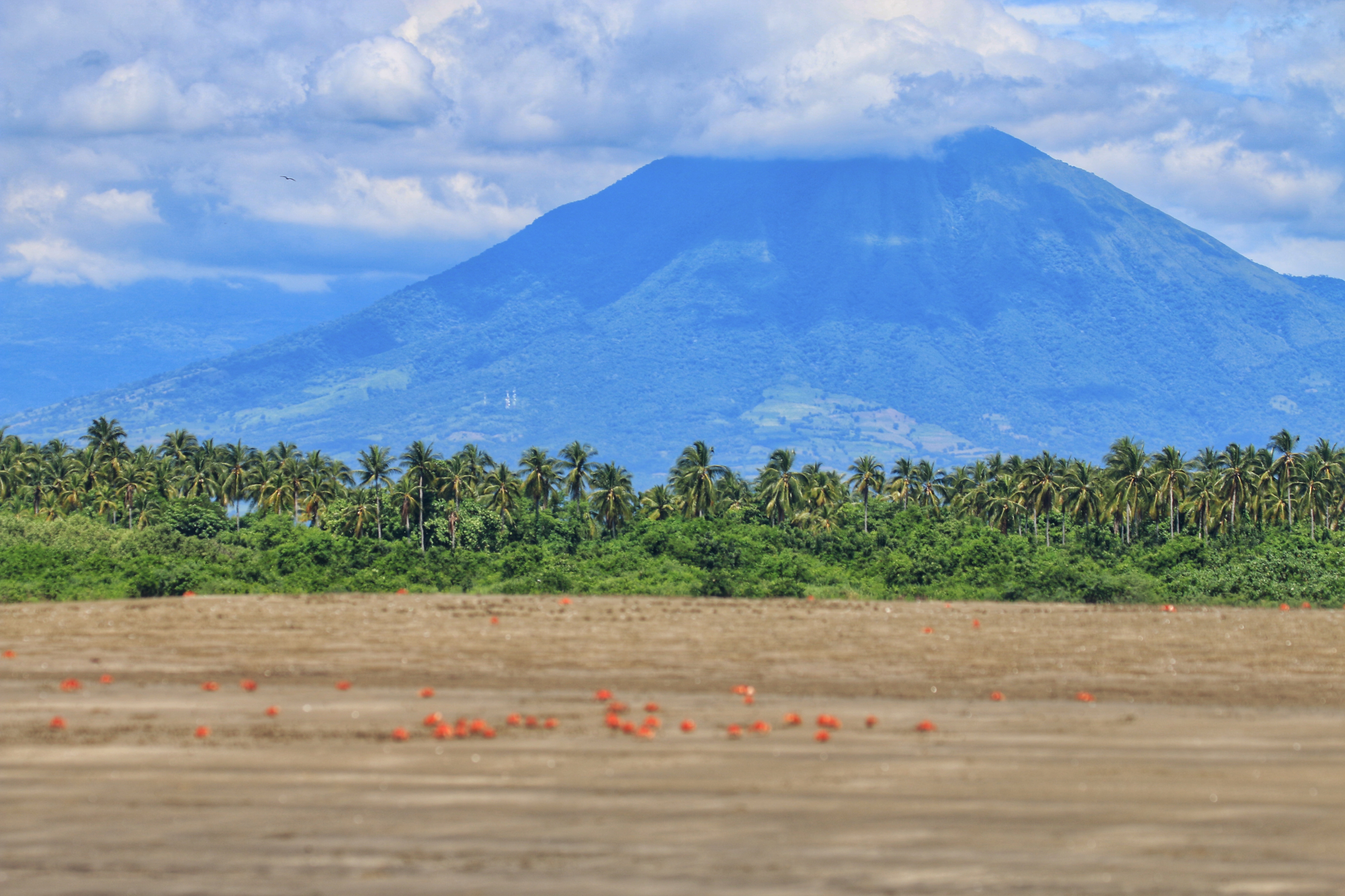 Paradis naturel du El Salvador, bienvenue à la Bahia de Jiquilisco ...